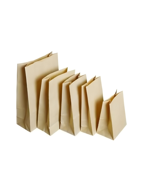 Kraft paper bag without handle – Green Harness